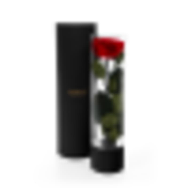 Valentine's Day Infinite Rose Ebony - Beverly Hills | OnlyRoses
