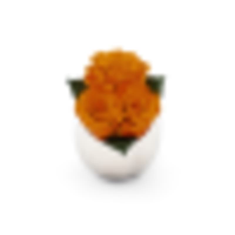 Infinite Rose Fortune - London | OnlyRoses