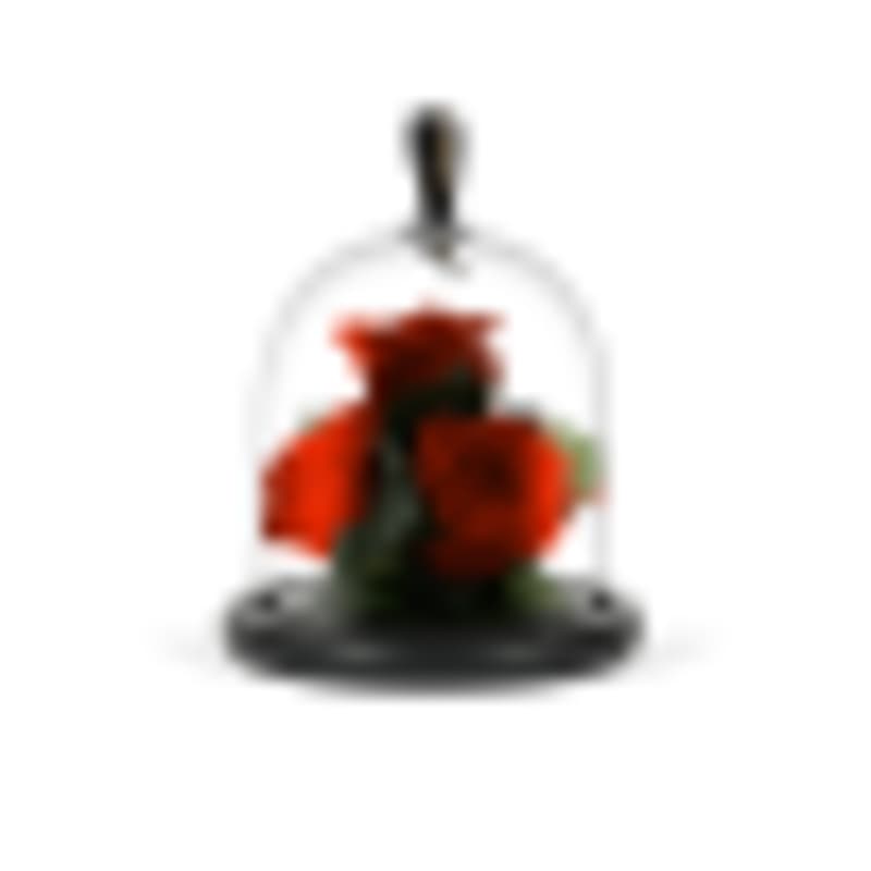 Infinite Rose Gem - London | OnlyRoses