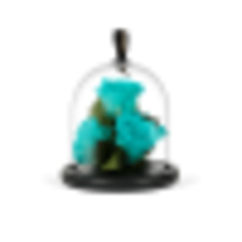 Infinite Rose Gem - Beverly Hills | OnlyRoses