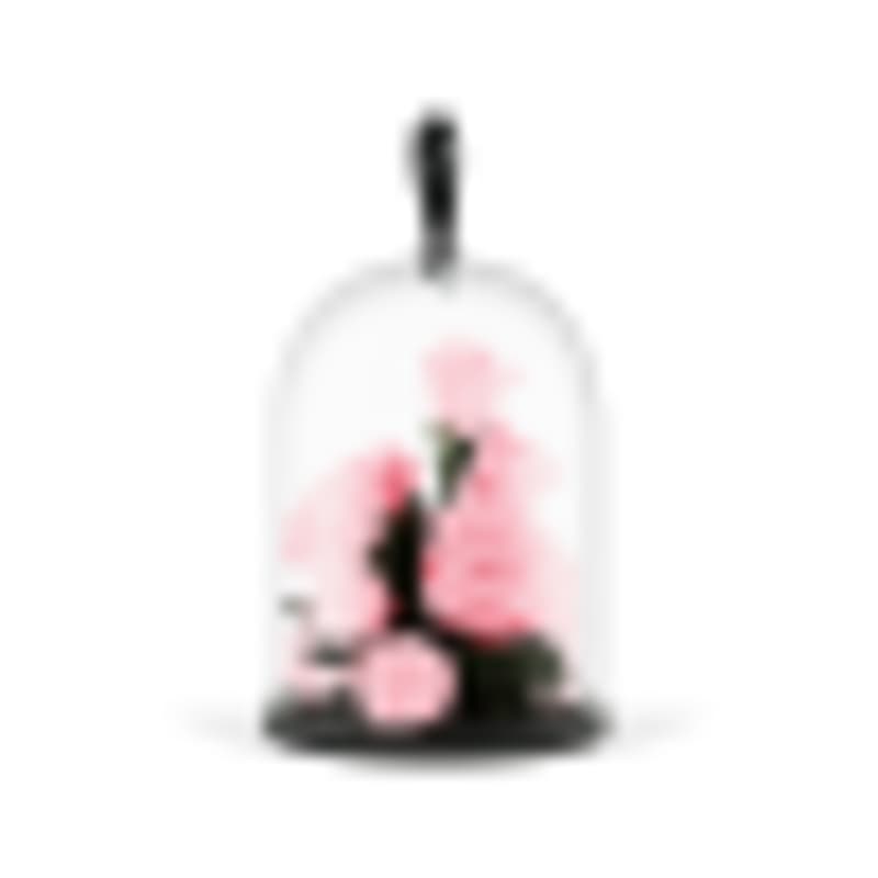 Infinite Rose Jewel - Beverly Hills | OnlyRoses