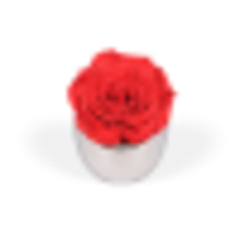 Infinite Rose Luna - OnlyRoses - The World's Finest Roses