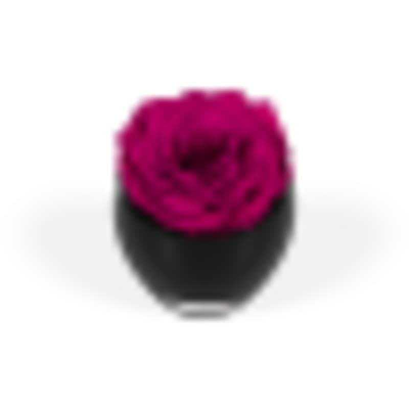 The Infinite Rose - Beverly Hills | OnlyRoses