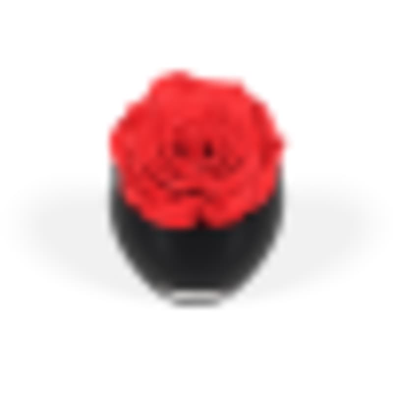 The Infinite Rose - Beverly Hills | OnlyRoses