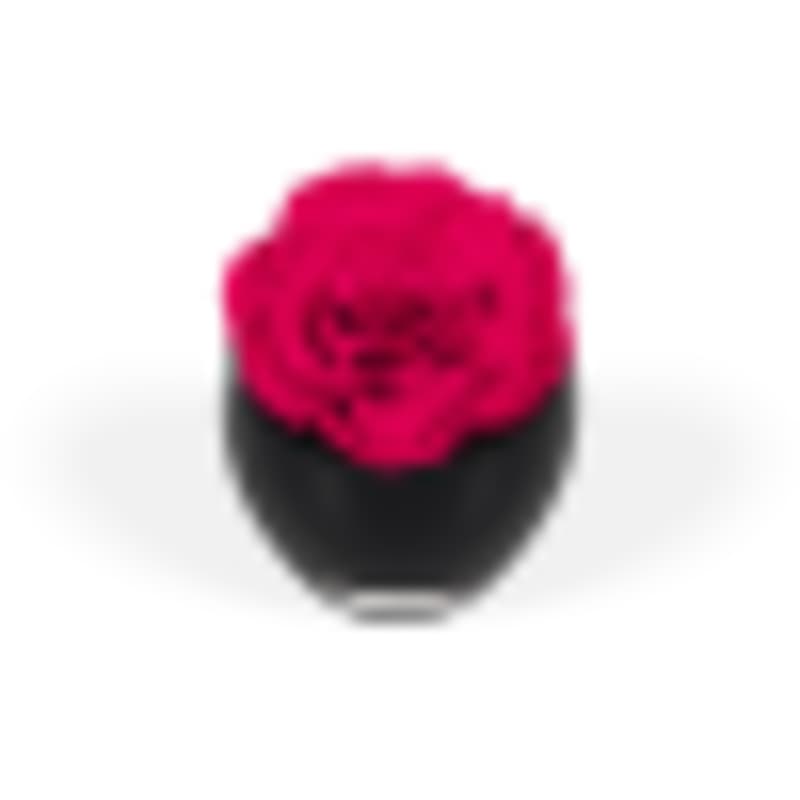 The Infinite Rose - Beverly Hills | OnlyRoses