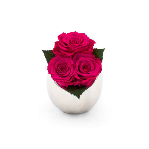 Infinite Rose Fortune - Beverly Hills | OnlyRoses