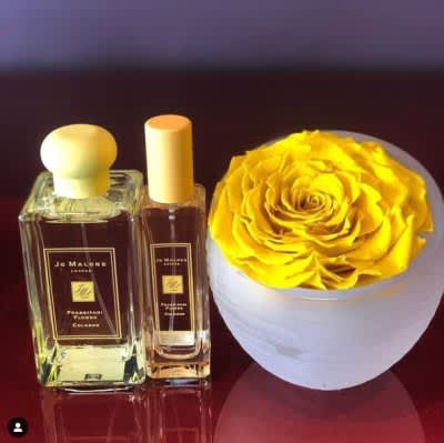 Infinite Rose Blanc - Beverly Hills | OnlyRoses