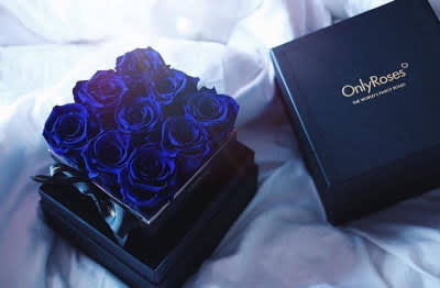 Valentine's Day Infinite Rose Silver Cube - London | OnlyRoses