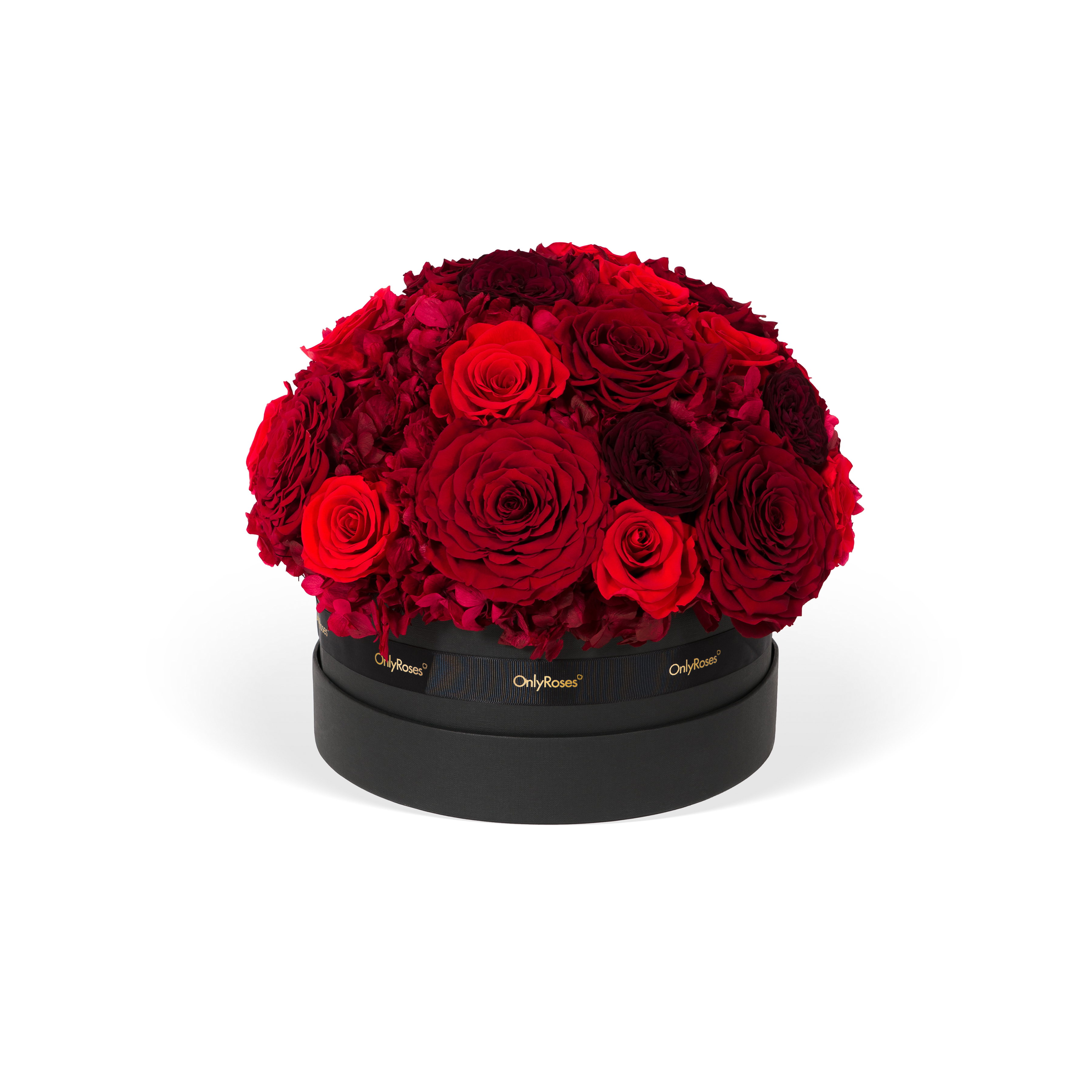 Infinite Boulevard - OnlyRoses - Roses delivered Los Angeles