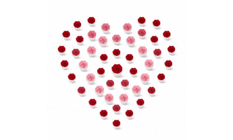 Create a Lasting Memory