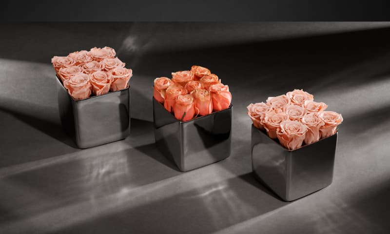 Valentine's Classic Silver Cube Roses | OnlyRoses