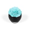 Tiffany Blue Roses