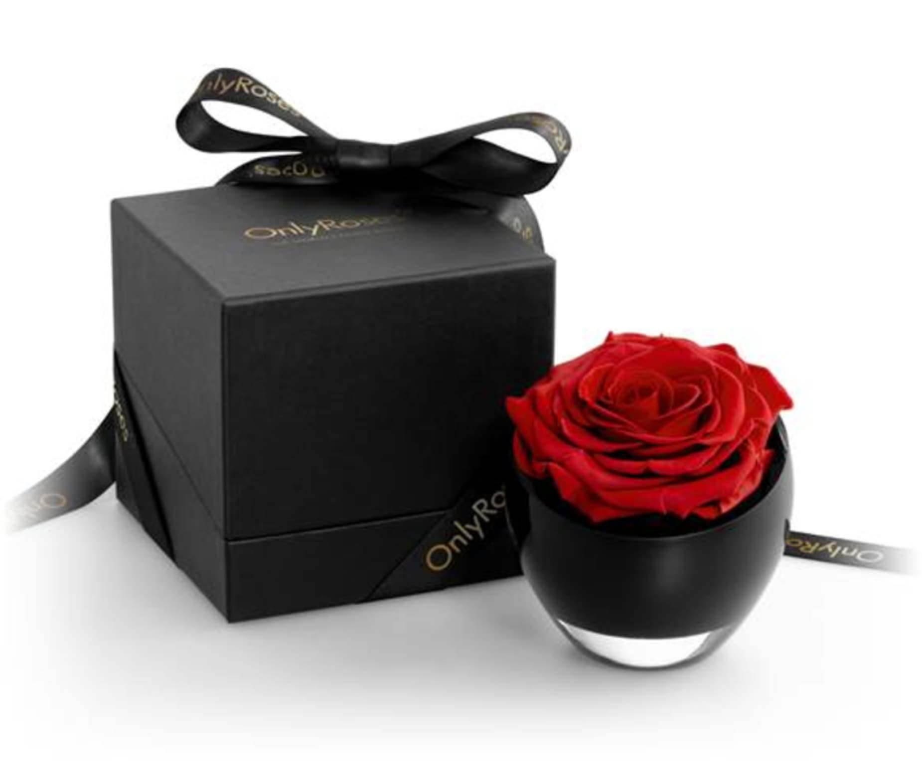 Handpicked for the Goop Holiday Gift Guide | OnlyRoses