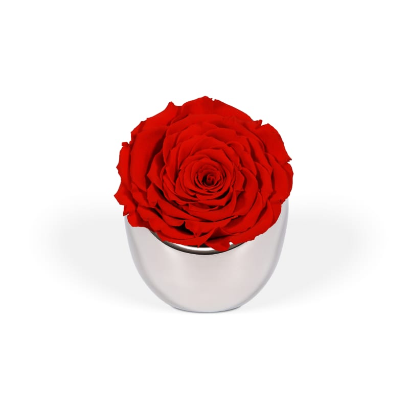 Infinite Rose Luna - London | OnlyRoses