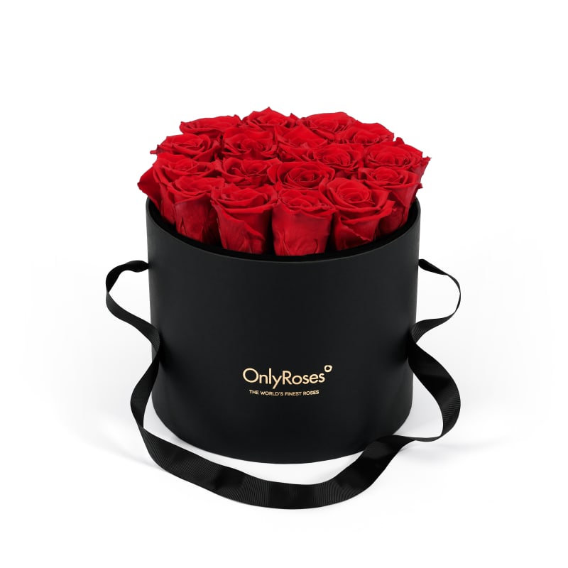 Valentine's Day Infinite Rose Waldorf - Beverly Hills | OnlyRoses