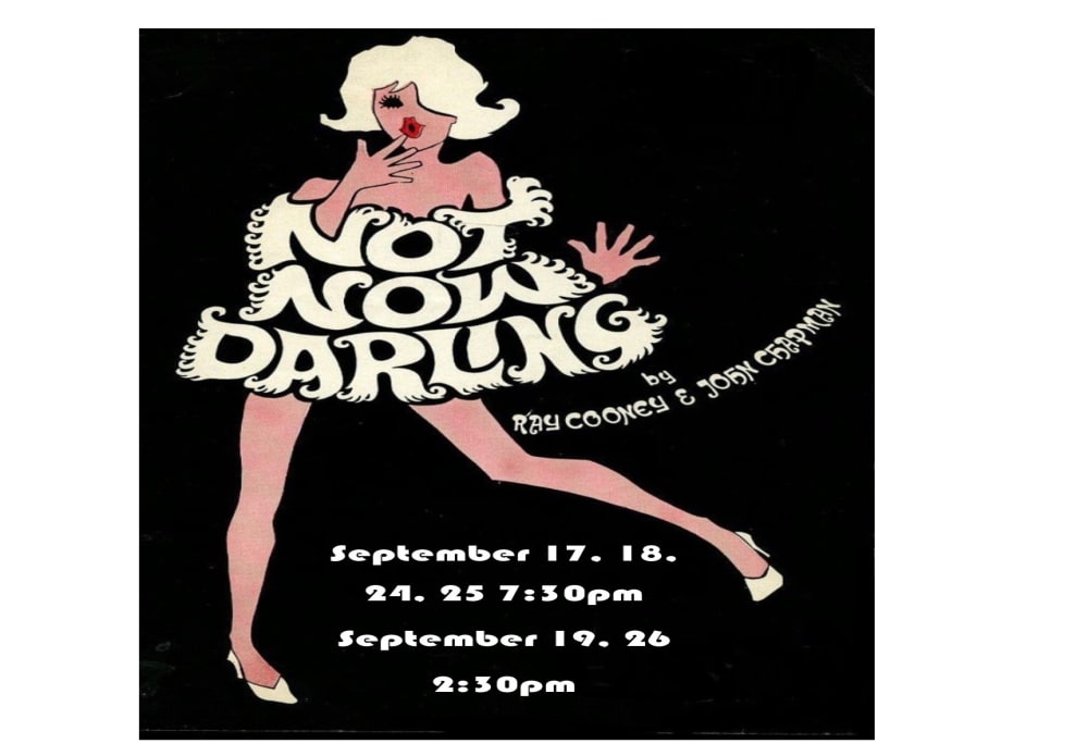 Union County Playmakers Presents: Not Now Darling