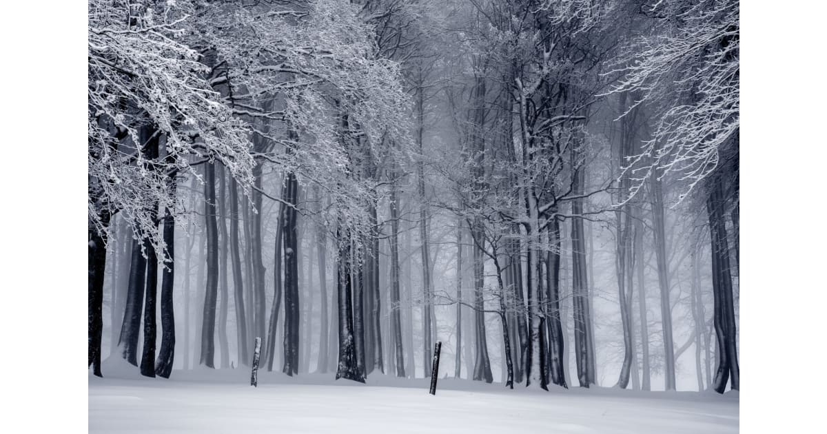 MVMPCS Presents: The Snow Queen
