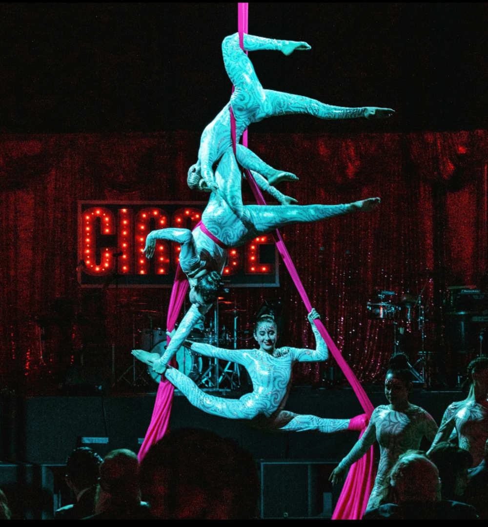 Florida Aerial Dance & Circus Arts, LLC Presents: Cirque Diabolique ...