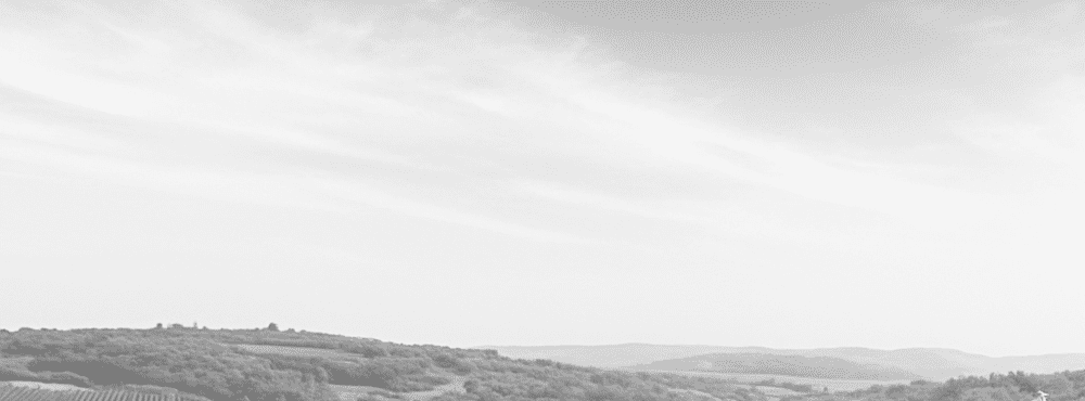 book now Abaya winery Migdal tefen | ontopo