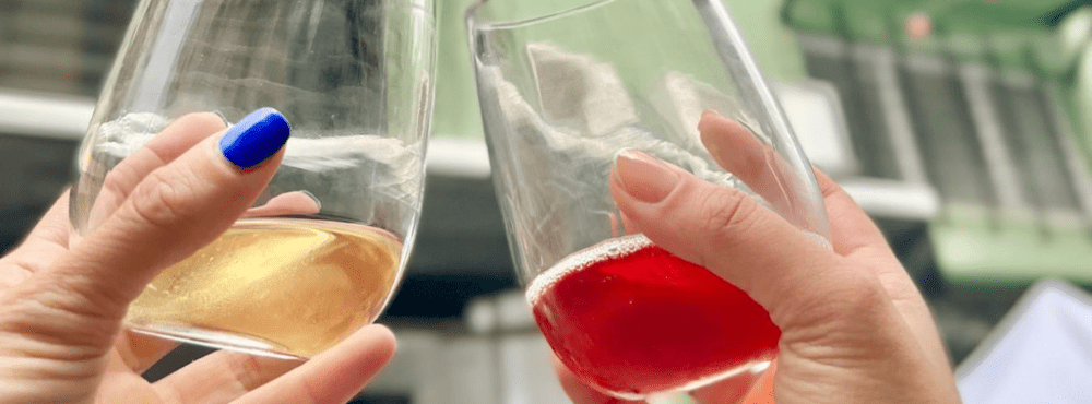 book now Terroir - wine shop & bar Haifa | ontopo