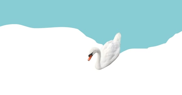 Lohengrin - Opera - Season 23/24 Programming - Opéra national de Paris