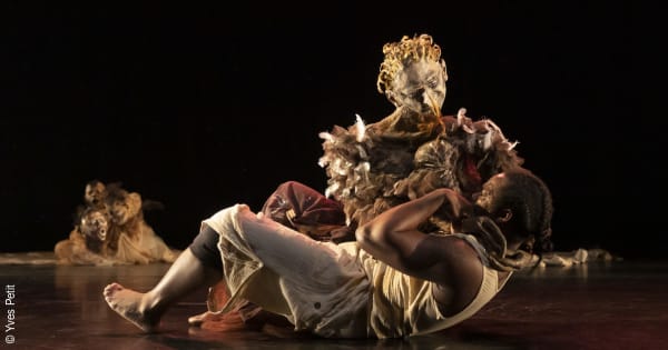 Swan language, keys to the show - Young Audiences - Season 23/24 ...