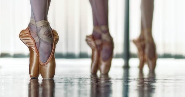 Cross Threads - Summer school - The Ballet School - Artists - Opéra ...