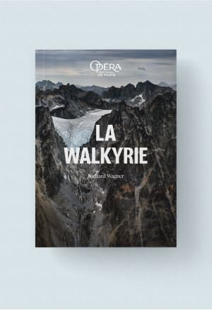 Die Walküre - Opera - Season 25/26 Programming - Opéra national de Paris