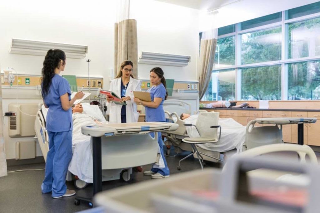 Nurse Practitioner vs. Registered Nurse: The Four Key Differences ...