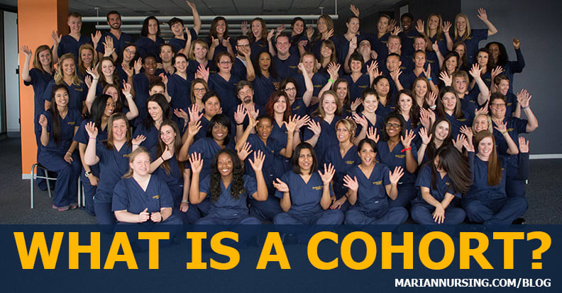 What is a Cohort? | Marian's ABSN Cohort Explained