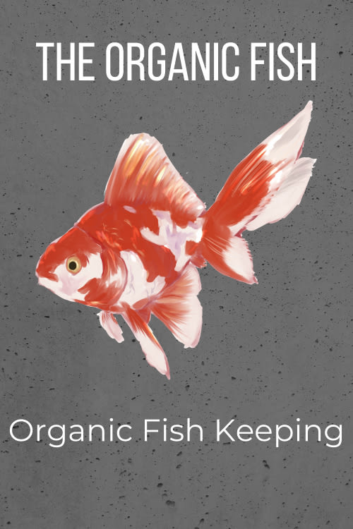 Organic fish keeping; the organic fish natural health remedies and more
