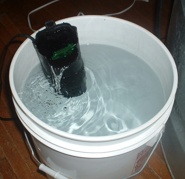 Water changes; goldfish emergency; 10 steps to goldfish Koi Keeping