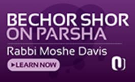 Who is Joseph’s Wife and Why Did He Marry Her? - Bechor Shor - OU Torah