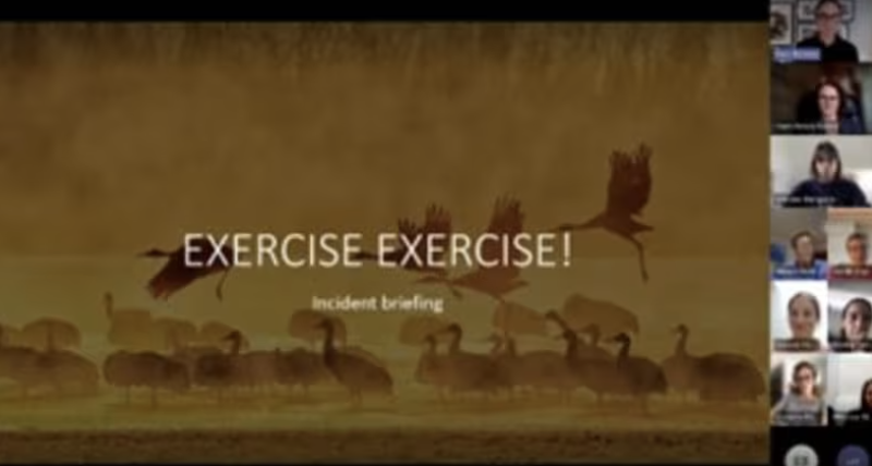 Wildlife Preparedness & Response Community of Practice | Blog Post