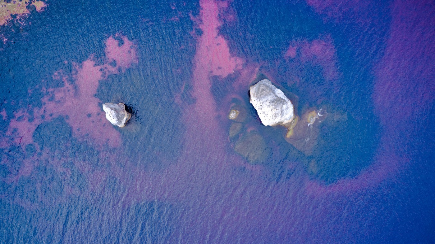 ATSEA-2 Webinar Part 1: Causes, Fates & Impacts of Marine Oil Spills ...
