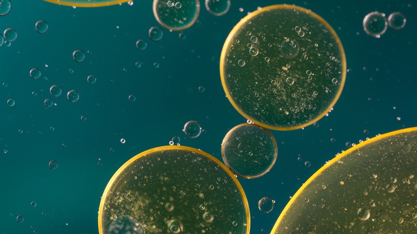 Oil Types and Spill Dynamics Explained | Knowledge Hub