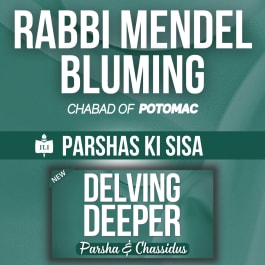 Rabbi Mendel Bluming: Parshas Ki Sisa