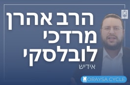 Today's amud Beitzah 28b By: Rabbi Aron Mordechai Lubelsky