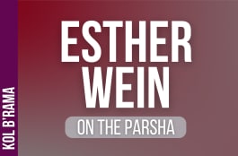 Part 2: Egypt and The 49 Levels Of Tumah In Pictures - Esther Wein on ...