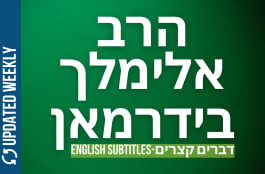 דברים קצרים, בהעלותך - בחו-ל נשא תשפ"ו, מורינו הגה"צ רבי אלימלך בידרמן ...
