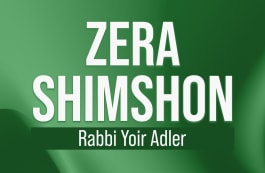 Emor 5784 - Zera Shimshon - OU Torah