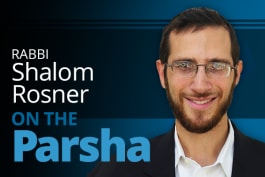 Ki Tavo 5776 - Rabbi Shalom Rosner on The Parsha - OU Torah