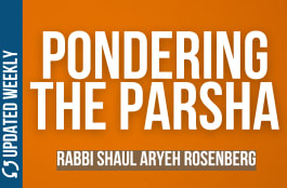Chukas 5784 - Pondering The Parsha with Rabbi Shaul Aryeh Rosenberg ...