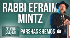 Rabbi Efraim Mintz: Parshas Shemos