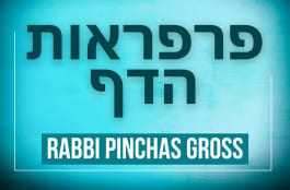 Zevachim 42b - מיא בעלמא הוא דקא אדי - Parparaos HaDaf