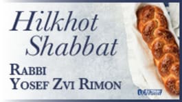 Borer: What's Considered a Mixture? - Hilkhot Shabbat - OU Torah