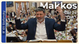 Makkos 24 - Daf Yomi by Rabbi Eli Stefansky