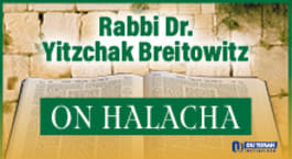 The Two Faces of Matzah - Rabbi Dr. Yitzchak Breitowitz on Halacha - OU ...