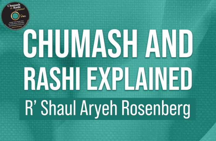 Chumash Rashi by Rabbi Shaul Aryeh Rosenberg
