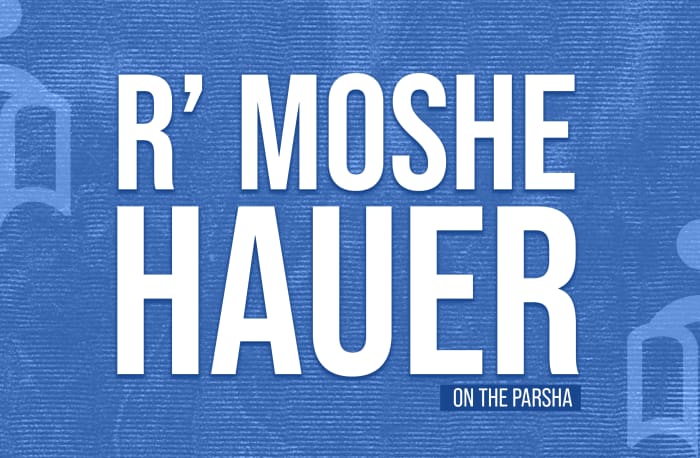 Rabbi Moshe Hauer On The Parsha